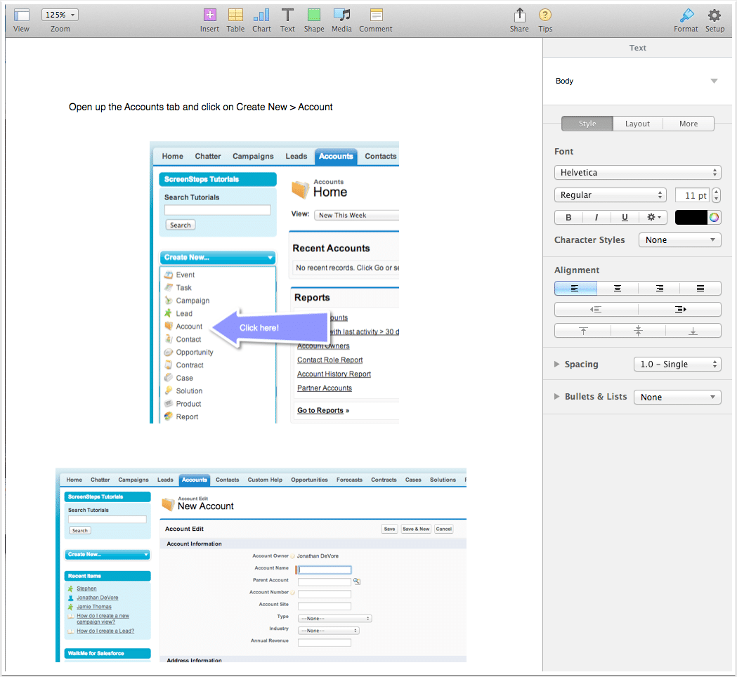 Using Snagit to Create Salesforce Documentation